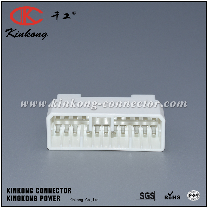20 pin male BCM connector 1-174960-1